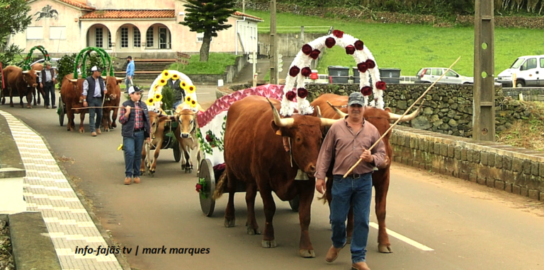 “CARROS DE BOIS EM CORTEJO” – 3º Jantar do Divino Espírito Santo – Vila do Topo – Ilha de São ...